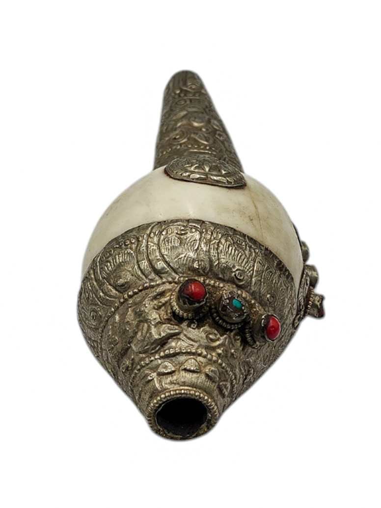 Conch Shell, Stone Setting, White and Silver Color – 15 × 6 cm | Conch ...